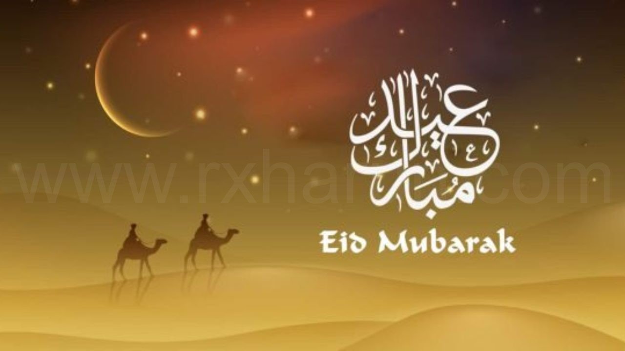 Rxharun |.....a global war against illness!!!