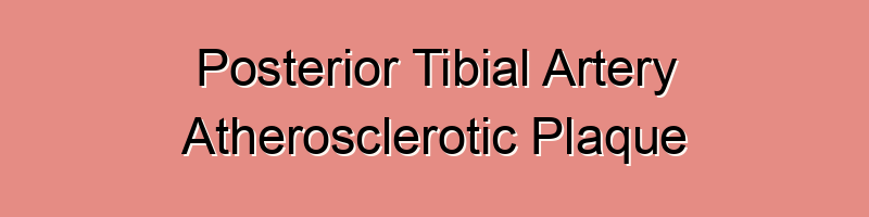 Posterior Tibial Artery Atherosclerotic Plaque