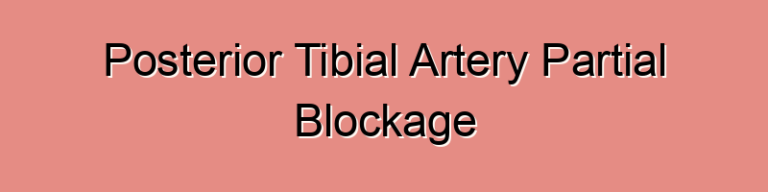 Posterior Tibial Artery Partial Blockage