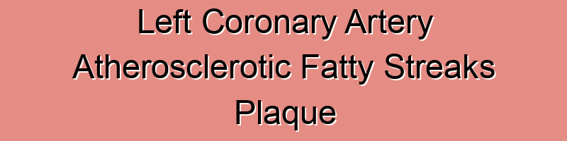 Left Coronary Artery Atherosclerotic Fatty Streaks Plaque