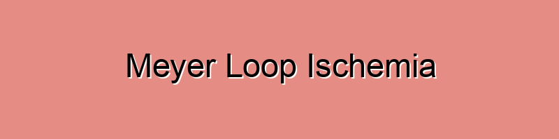 Meyer Loop Ischemia