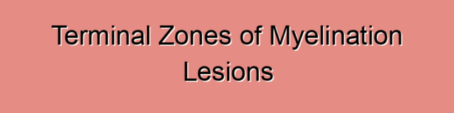 Terminal Zones of Myelination Lesions – RxHarun