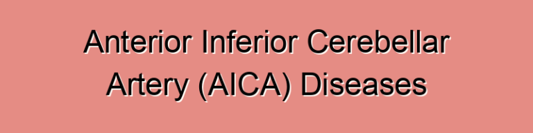 Anterior Inferior Cerebellar Artery (AICA) Diseases