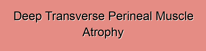 Deep Transverse Perineal Muscle Atrophy – RxHarun